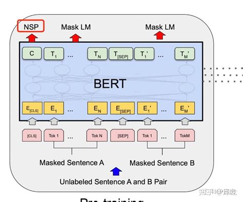 bert系列之下游任务应用 知乎