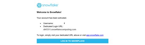 A Guide To Snowflake Odbc Connection Strings And Parameters