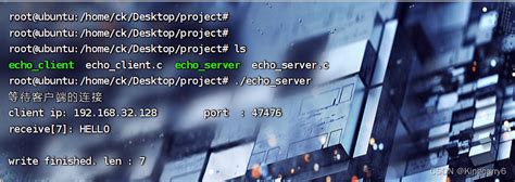 socket实现回声服务器 使用socket编程实现回声客户端 csdn博客