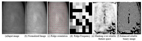 Preprocessed Results And Extracted Structural Feature Download