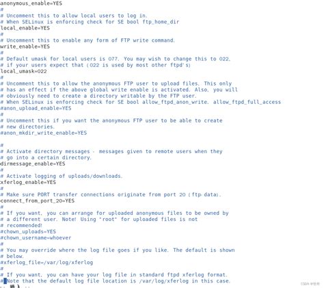 Linux学成之路（基础篇）（十八）文件共享服务器（ftp）linuxftp共享文件 Csdn博客