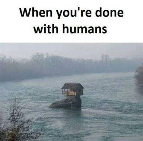 Introvert Problems Artofit