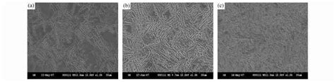 Optical Micrographs Showing Microstructure Of Specimen Austempered At Download Scientific
