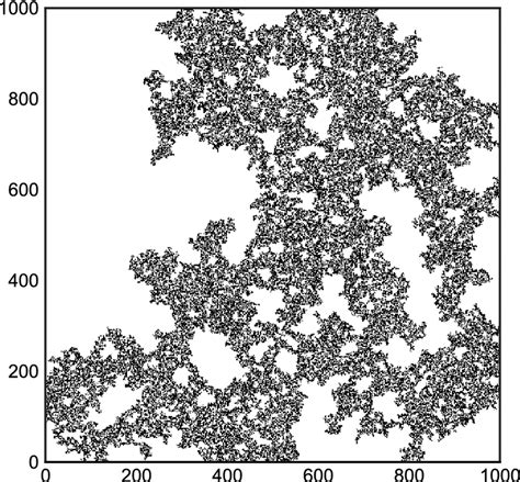 Percolation Cluster The Largest Cluster Of A Download Scientific