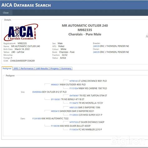 Mr Automatic Outlier 240 Charolais Livestock Bigiron
