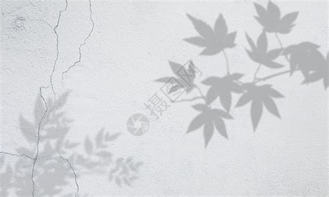 自然光影图片素材 正版创意图片401788517 摄图网
