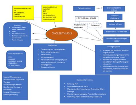 Cholelithiasis Concept Map Download Free Pdf Clinical Medicine