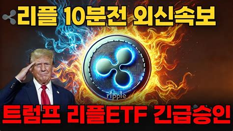 리플 Xrp 트럼프는 리플 편 확실합니다 대폭등 리플 리플전망 리플속보 코인추천 Youtube