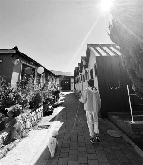 네이버 인플루언서