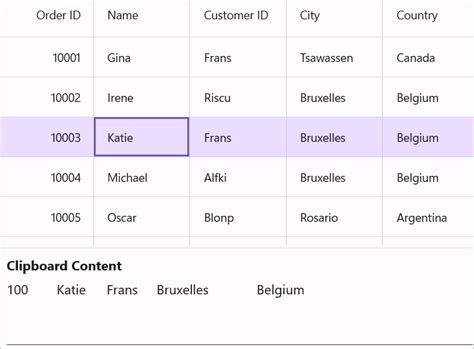 Clipboard Operations In Net Maui Datagrid Control Syncfusion®