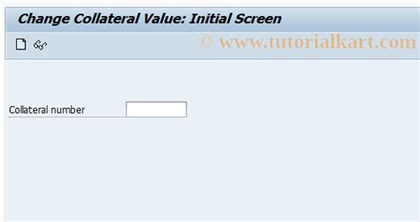 FN SAP Tcode Change Collateral Value