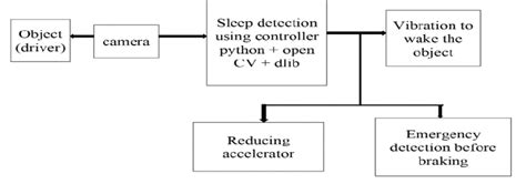 1 Experimental Diagram Download Scientific Diagram
