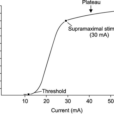 Supramaximal Stimulation Neuromuscular Response Increases With Download Scientific Diagram
