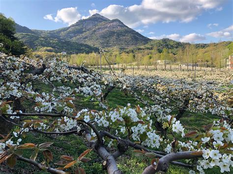 Camino Corea 20150620토 산티아고 순례 설명회에 여러분을 초대합니다 프랑스 생장에서 출발하여 스페인 산티아고 데 콤포스텔라까지 800km를 걷는