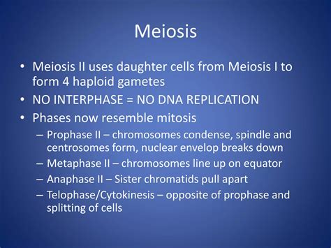 Dna Replication Mitosis Meiosis And The Cell Cycle Pptx