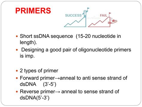 primer designing in pcr pptx