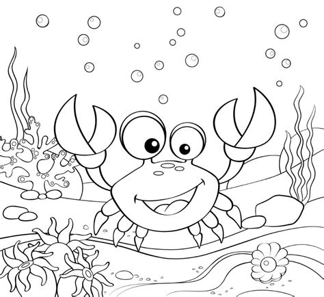 Krab Kolorowanki Dla Dzieci Kolorowanki Do Wydrukowania Porn Sex Picture