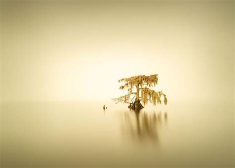 Refocus Awards Russell Satterthwaite Nominee Fine Art