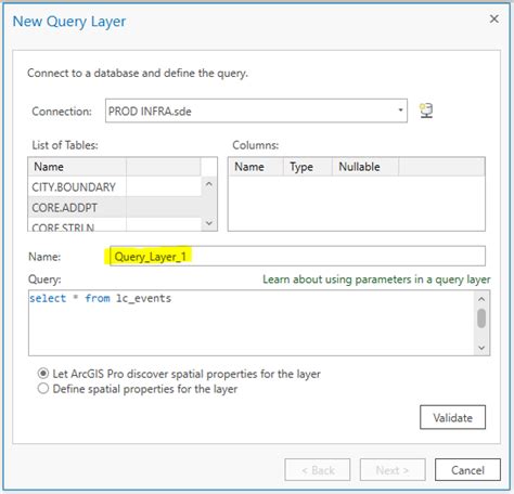 Default Query Layer Name Esri Community