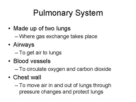 Structure And Function Of The Pulmonary System Pulmonary