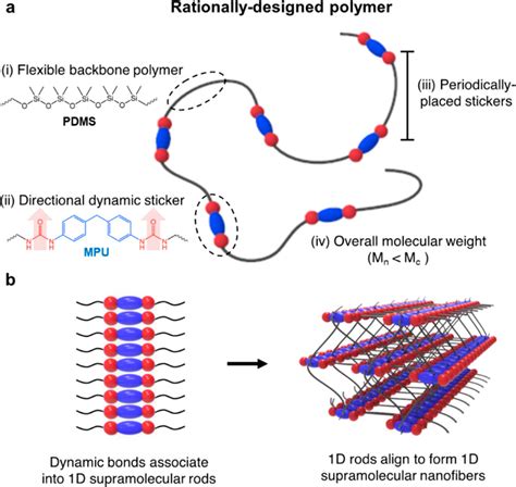 Linear Polymer Chains