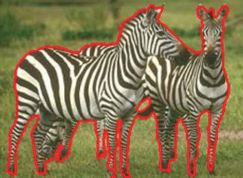 Opencv Difference Between Connected Component Labeling And Image Segmentation Stack Overflow