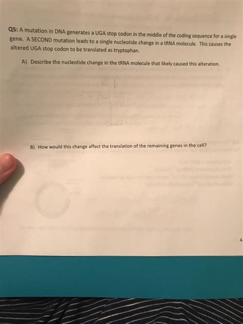 Solved Q5 A Mutation In Dna Generates A Uga Stop Codon In