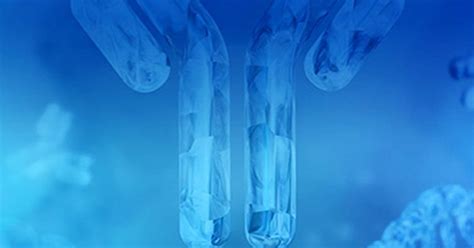 Turbocho™ High Throughput Platform Upgraded To 20 Version Starting At