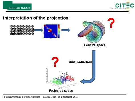 Interpretable Discriminative Dimensionality Reduction And Feature Selection On