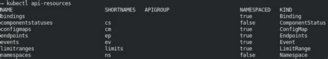 don t memorize kubernetes api resources use these two kubectl commands