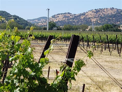 1166 Best Napa Images On Pholder Wine Room Porn And