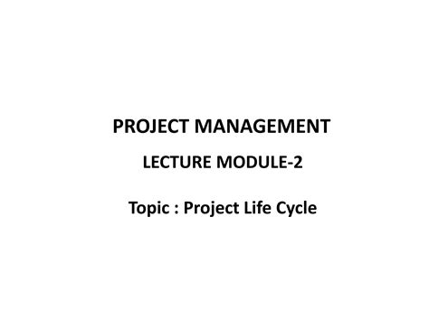 Project Life Cycle PPTX