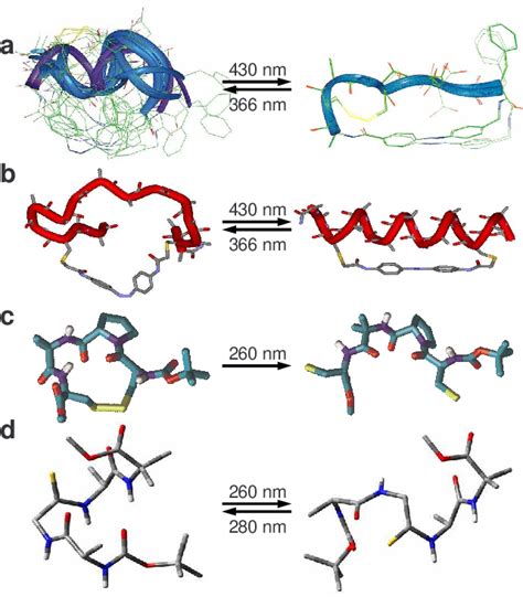 Figure 4 From Two Dimensional Infrared Spectroscopy Of Photoswitchable