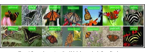 Figure 6 From A Sustainable Deep Learning Framework For Object Recognition Using Multi Layers