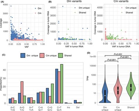 Neoantigen Prediction In Human Breast Cancer Using Rna Sequencing Data Pmc