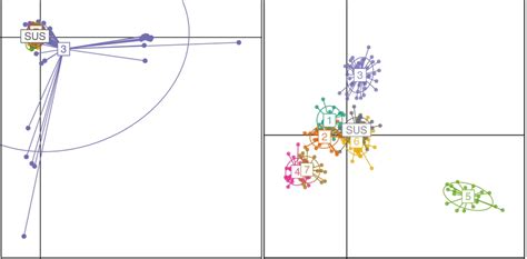 clustering analyses of individual genotypes labeled with seed source
