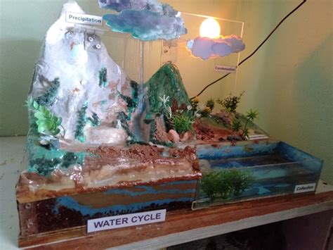 Water Cycle Working Model