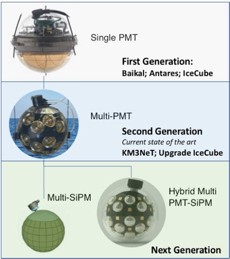 Phylogenetic Tree Of Neutrino Telescope Detection Nodes The Multi Pmt Download Scientific