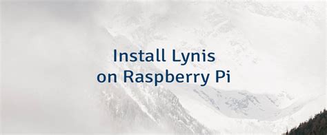 Install Lynis On Raspberry Pi Lindevs