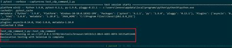 Selenium With Python All You Need To Know