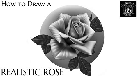 How To Draw A Real Rose