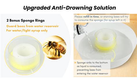 Upgraded Rapid Bee Top Feeder With Anti Drowning Sponge