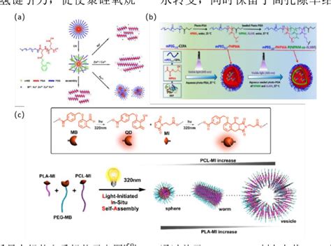 Figure 7 From Review Of Biomimetic Self Assembly Of Nanomaterials In