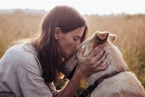 Was Dürfen Hunde Nicht Essen Eine Ausführliche Liste Hundemagazin