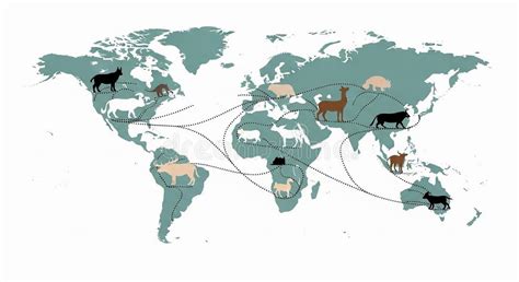 Global Animal Migration Map Illustrating The Spread Of Fauna Across