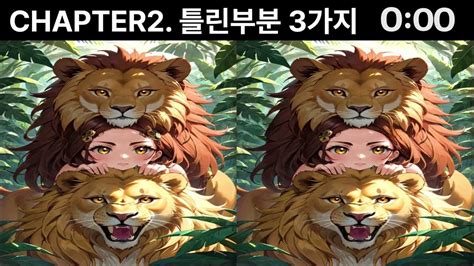 틀린그림찾기 다른그림찾기 매일 두뇌운동 집중력 훈련 치매 예방하기 Youtube