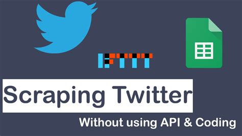 alishafaghi digital and data driven marketing