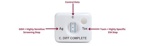 A Complete Stand Alone 2 Step C Difficile Algorithm In One Test