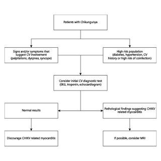 Proposed Algorithm To Guide Diagnosis Of CV Involvement In CHIKV Download Scientific Diagram