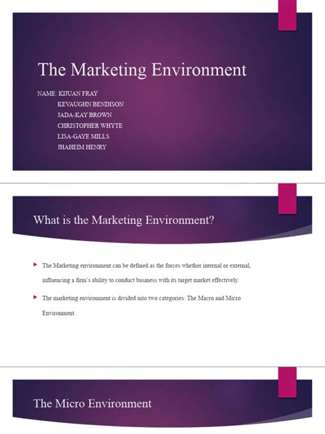 The Marketing Environment Pdf
